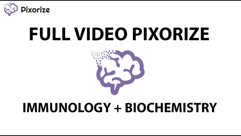 Trọn bộ Video Pixorize 2020 - Doctor Plus Club